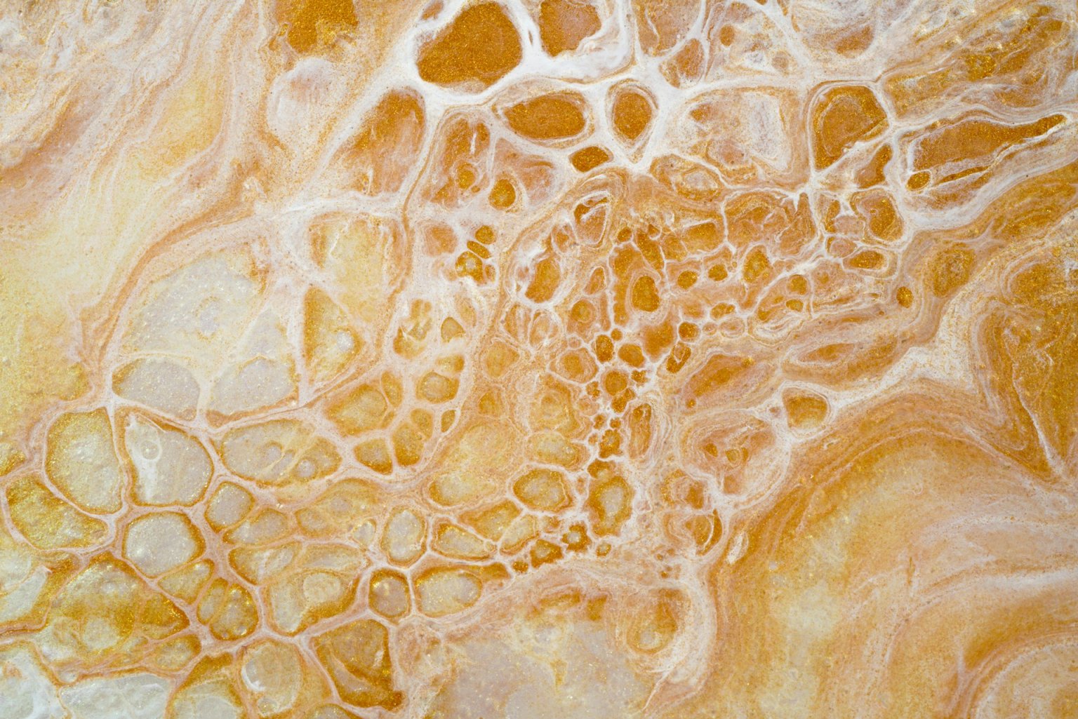 Imparta - A Global Leader in Performance Improvement.